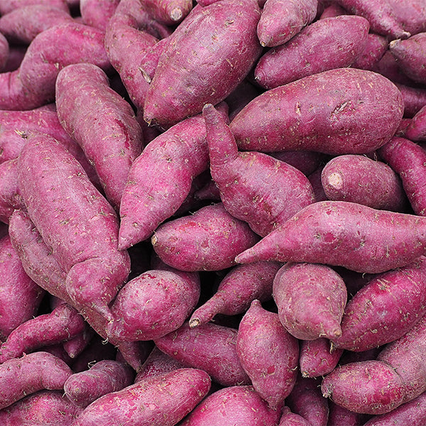 Red Sweet Potato 1kg – Manha Mini Market