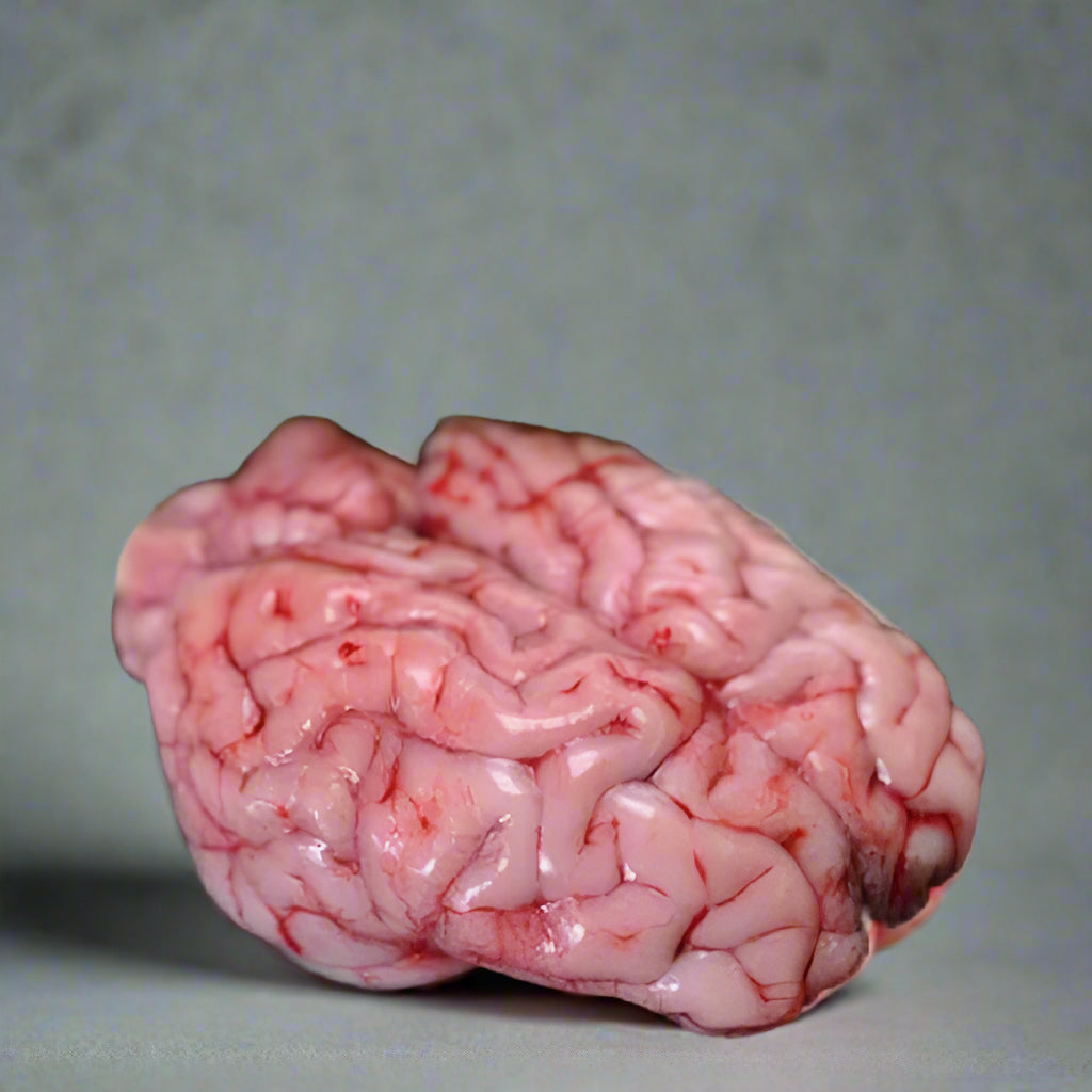 Cow Brain Fresh/Frozen – Manha Mini Market