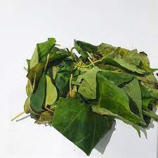 Fresh Utazi Leaves (3 Brunch) – Manha Mini Market