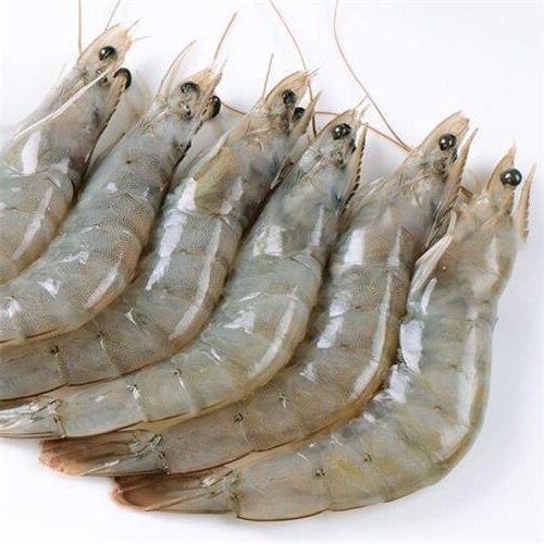 Prime Grey Raw Head-on Shrimp 2kg – Manha Mini Market